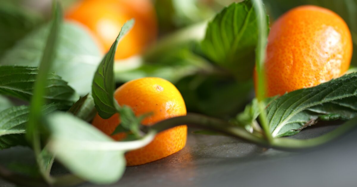 Stephen Hamilton | Food and Beverage Photographer & Director | Chicago